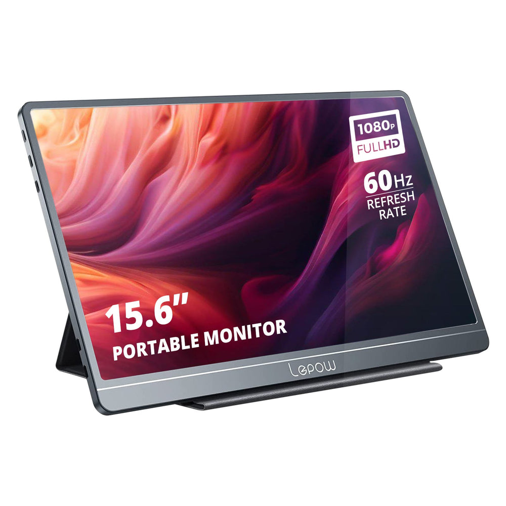 Portable Single Screen Monitor